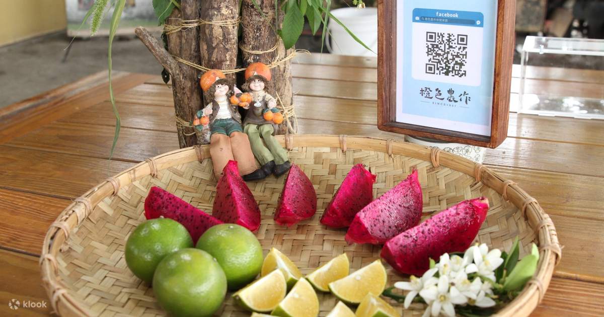 Yunlin｜Orange Farm Leisure Orchard Four Seasons Fruit Picking Experience Ticket｜Reservation ...